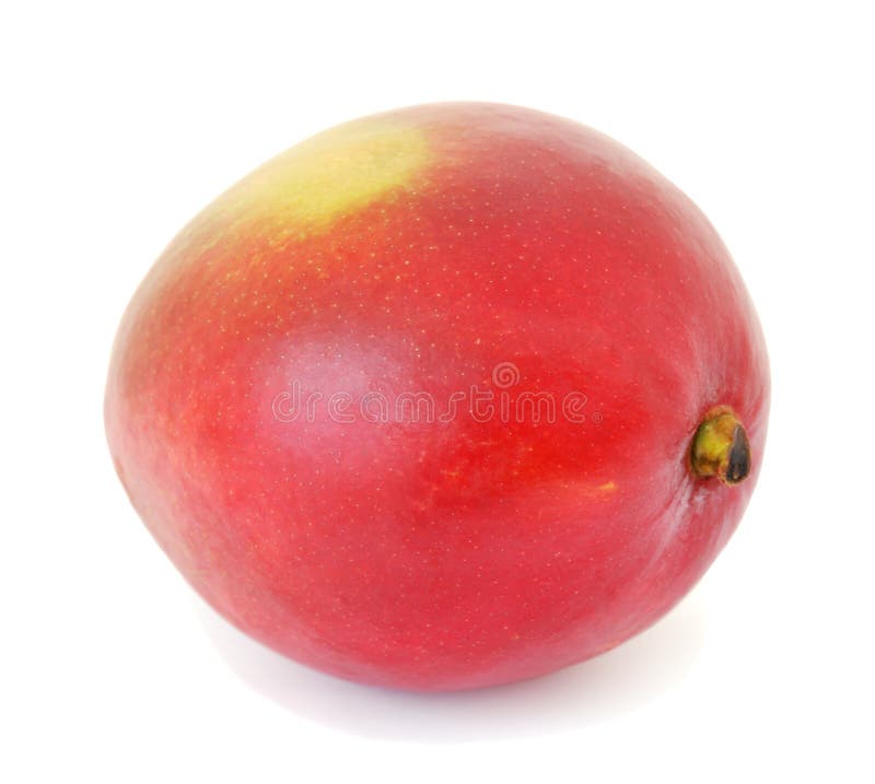 Single Mango Fresh Juicy Ripe Tropical Fruit Stock Image - Image of ...