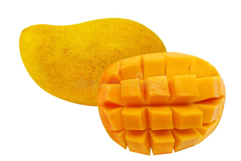 Mango stock photo. Image of natural, goodness, nutritious - 3761082