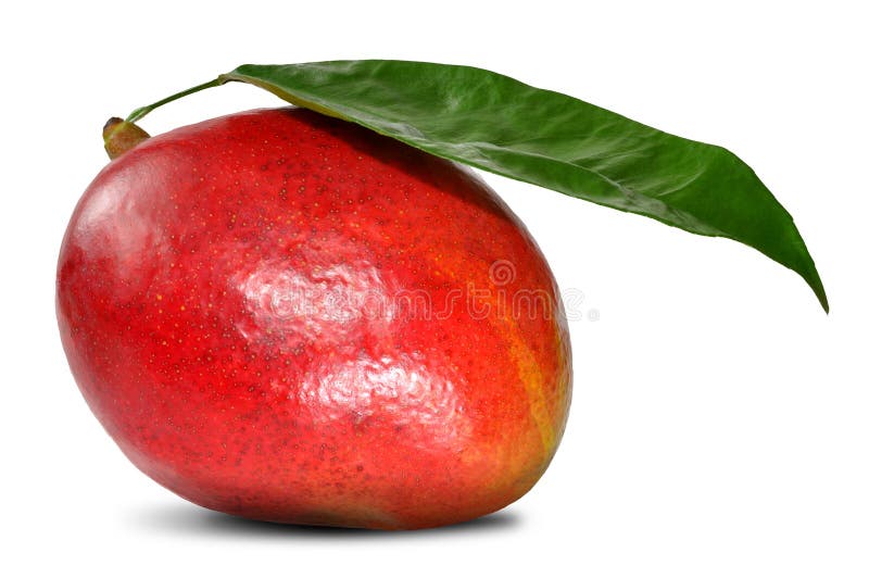 Mango zdjęcie stock. Obraz złożonej z cukierki, jaskrawy - 20199784