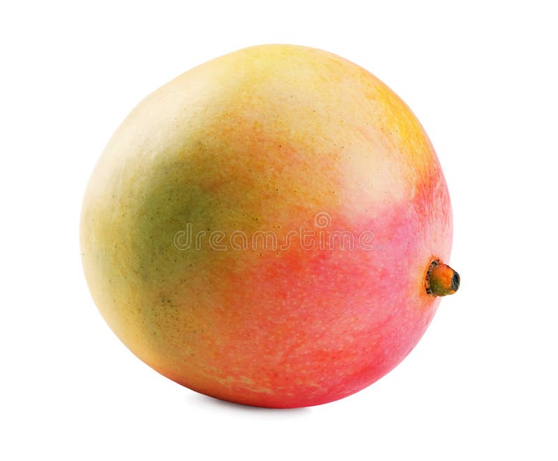 Mango stock image. Image of organic, seed, mango, fruit - 1755679