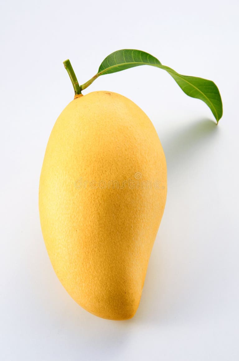 195,736 Mango Stock Photos - Free & Royalty-Free Stock Photos from ...
