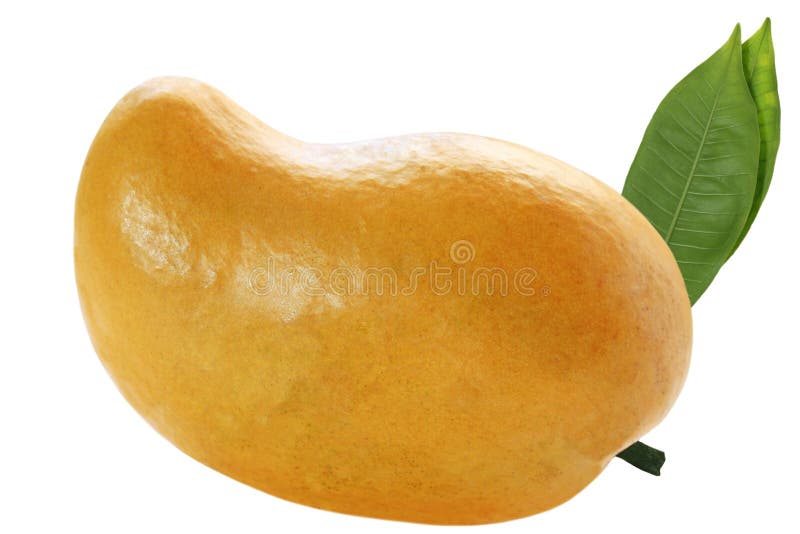 11,547 Single Mango Stock Photos - Free & Royalty-Free Stock Photos ...