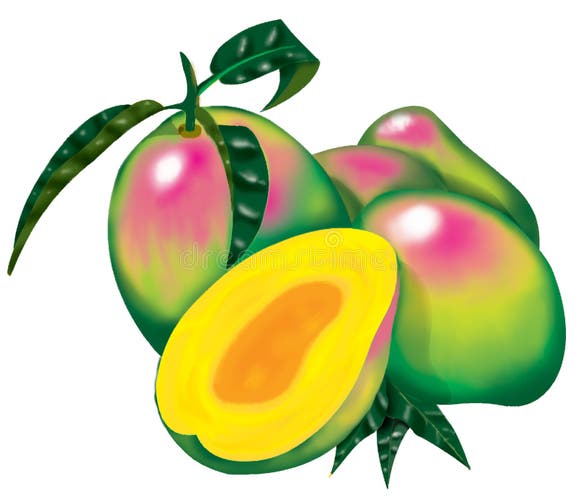Ripe Mangoes Stock Illustrations – 554 Ripe Mangoes Stock Illustrations ...