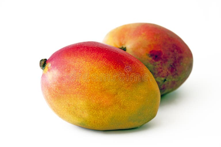 223,667 Mango Discoteca Stock Photos - Free & Royalty-Free Stock Photos ...