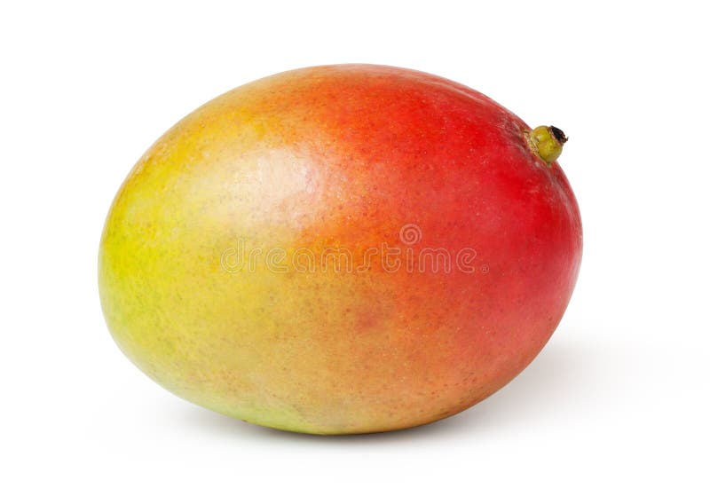 Mango stock image. Image of slice, mango, isolated, taste - 4584451