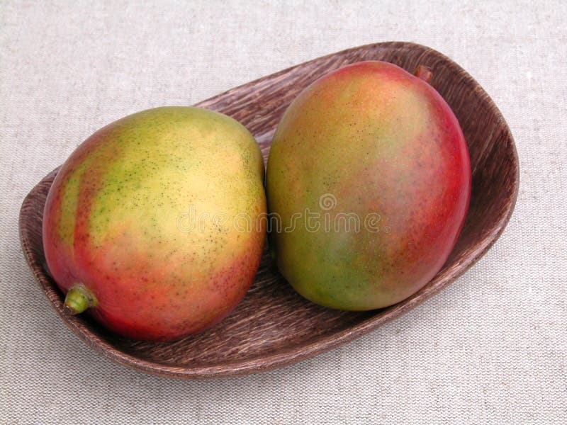 Mango stock photo. Image of sweet, mango, food, tropical - 291350