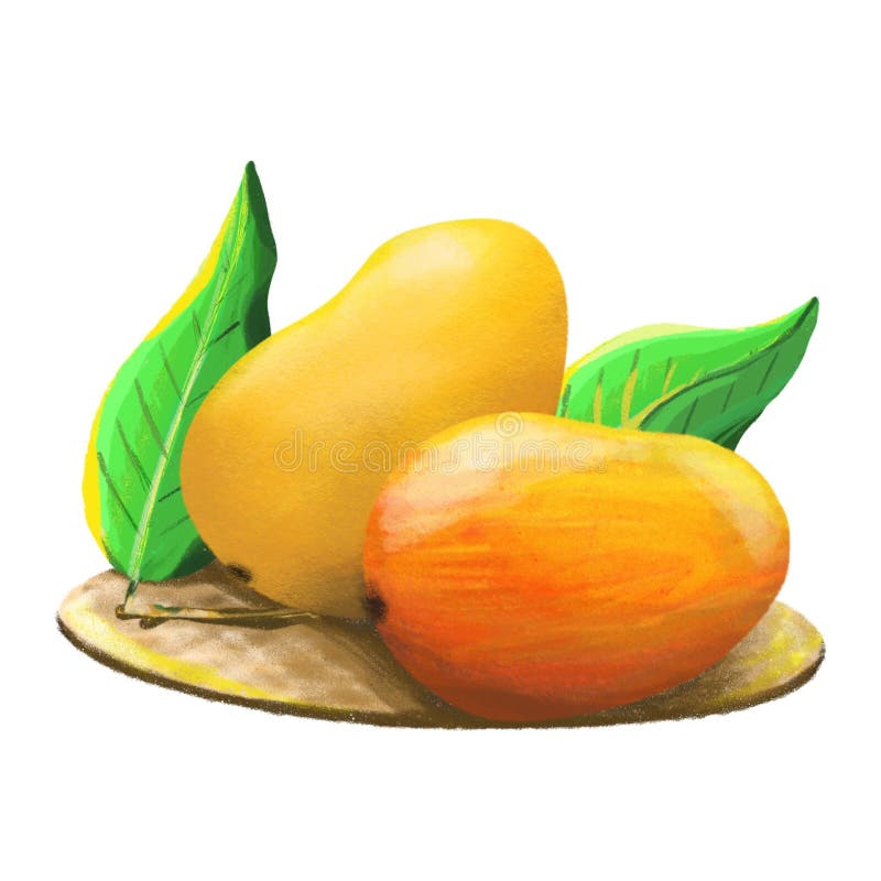 Two Mangoes Stock Illustrations – 114 Two Mangoes Stock Illustrations ...