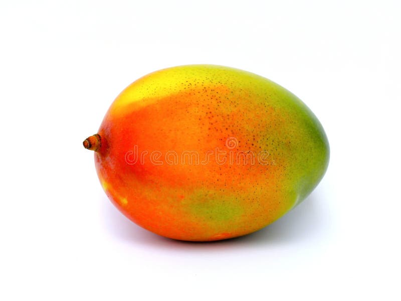 Mango stockfoto. Bild von mango - 36524804