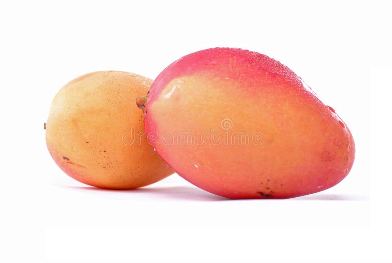The mango fruit isolated stock image. Image of clipping - 4474683