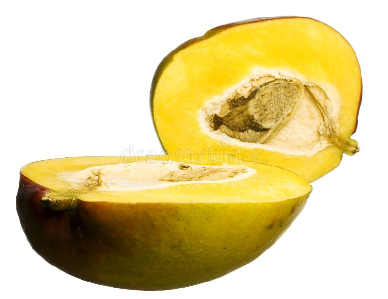 Mango's stock afbeelding. Image of zaad, groen, voedsel - 5176525