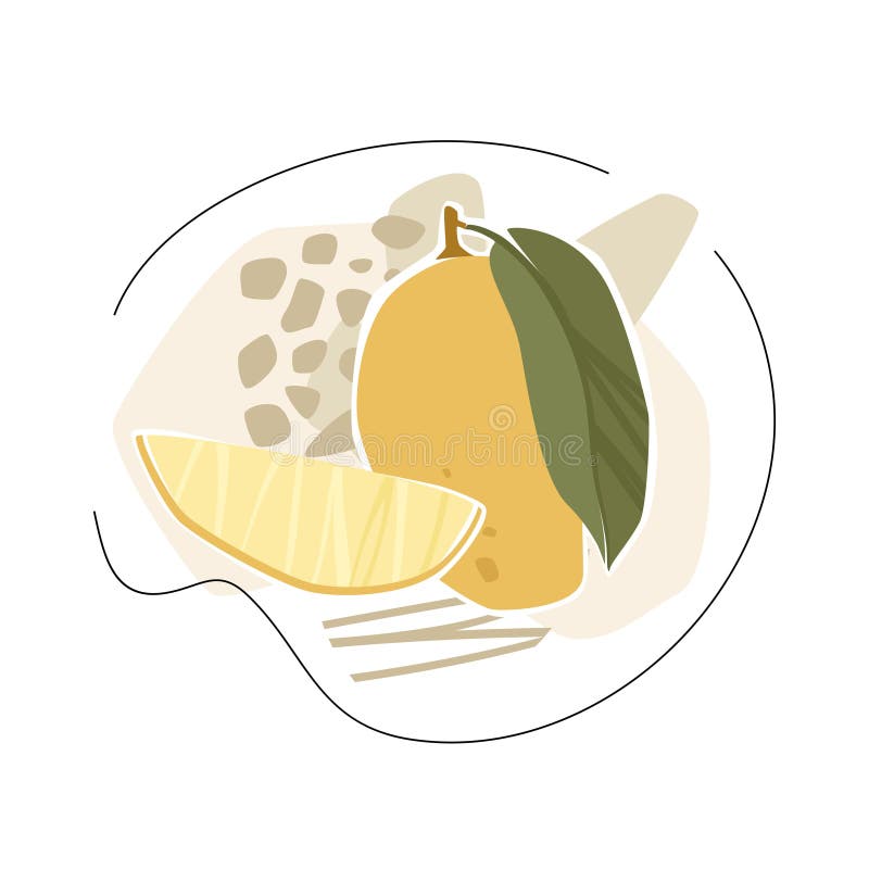 Mango Abstract Composition stock vector. Illustration of banner - 204825345