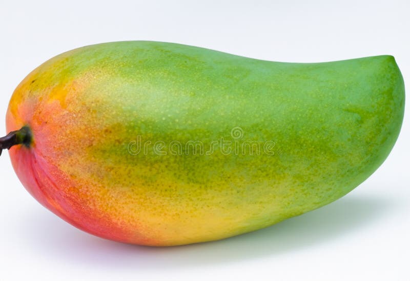 Mango Ai Stock Illustrations – 6,803 Mango Ai Stock Illustrations ...