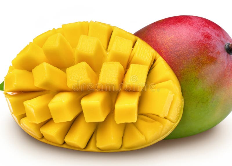 Mango Ai Stock Illustrations – 6,803 Mango Ai Stock Illustrations ...