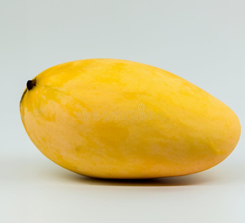 Mango Ai Stock Illustrations – 6,803 Mango Ai Stock Illustrations ...