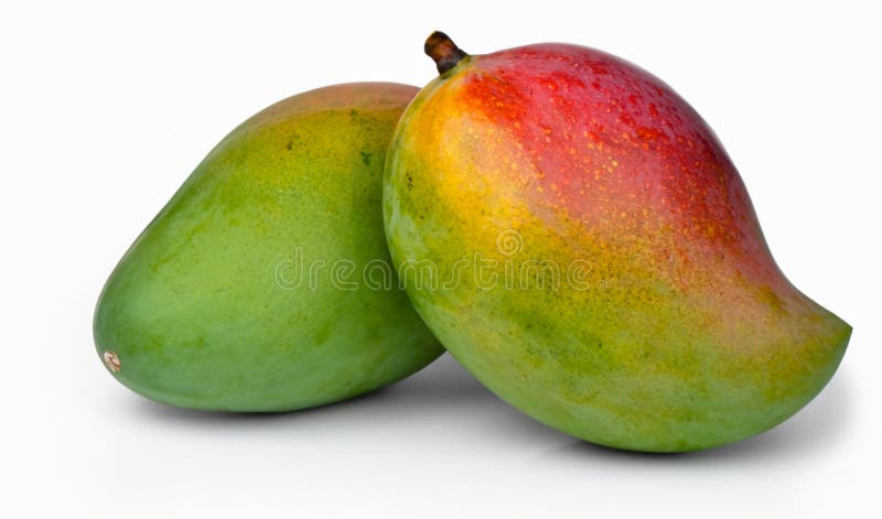 Mango Ai Stock Illustrations – 6,803 Mango Ai Stock Illustrations ...