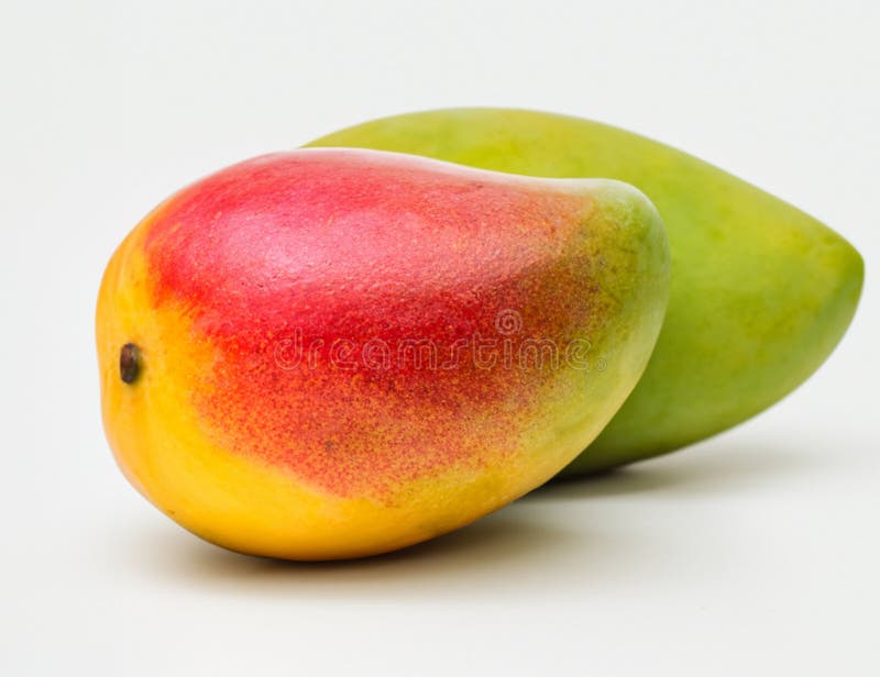 Mango Ai Stock Illustrations – 6,803 Mango Ai Stock Illustrations ...