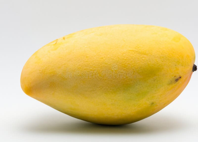 Mango Ai Stock Illustrations – 6,803 Mango Ai Stock Illustrations ...