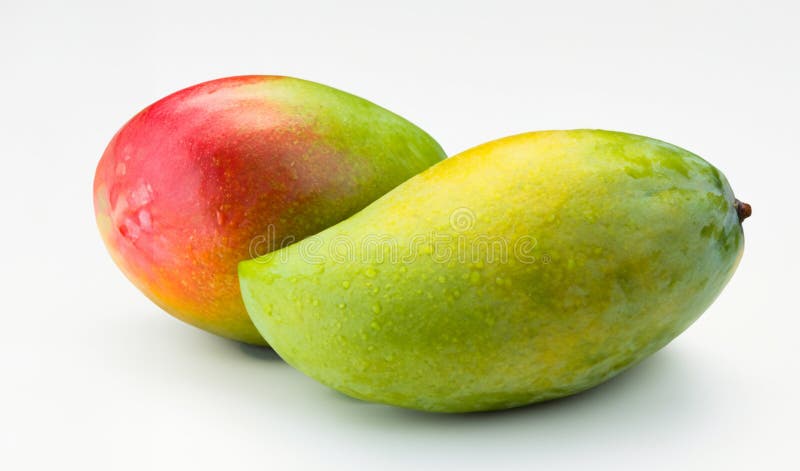 Mango Ai Stock Illustrations – 6,803 Mango Ai Stock Illustrations ...