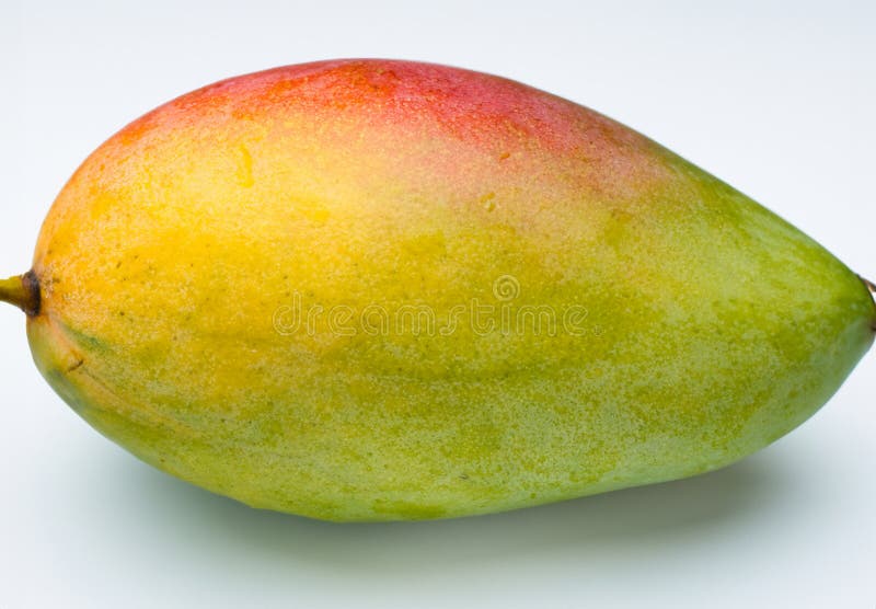 Mango Ai Stock Illustrations – 6,803 Mango Ai Stock Illustrations ...