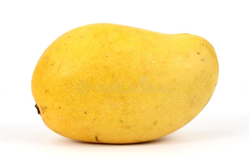 Fruta amarilla del mango imagen de archivo. Imagen de amargo - 9354733