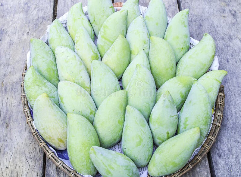 Mango stock photo. Image of sort, place, salver, tray - 53976824