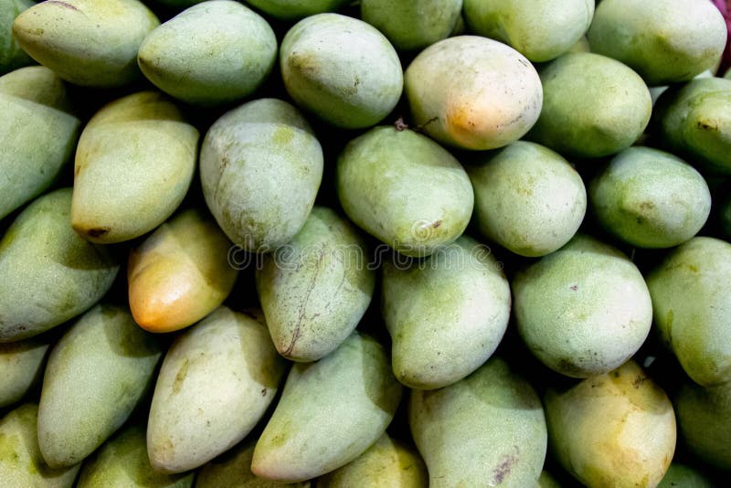 Mango Arrange on the Shelves. Fresh Mango in the Market Stock Image ...