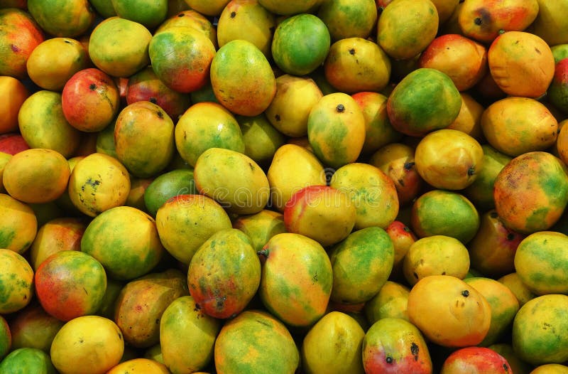 Mango Background. Ripe Fruit Backdrop. Tropical Delicious Food Stock ...