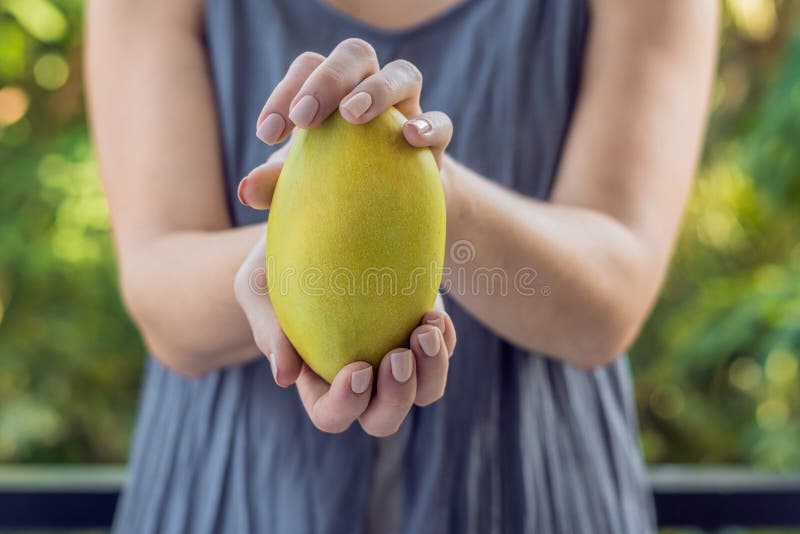 Mango in Beautiful Female Hands on a Green Background BANNER, Long ...