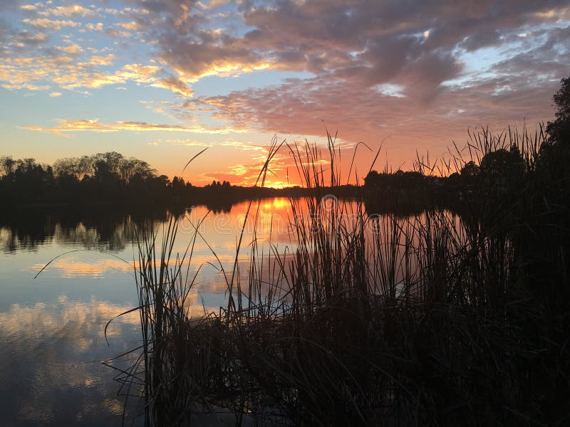 Mango stock photo. Image of fire, mango, sunset, beautiful - 88650376
