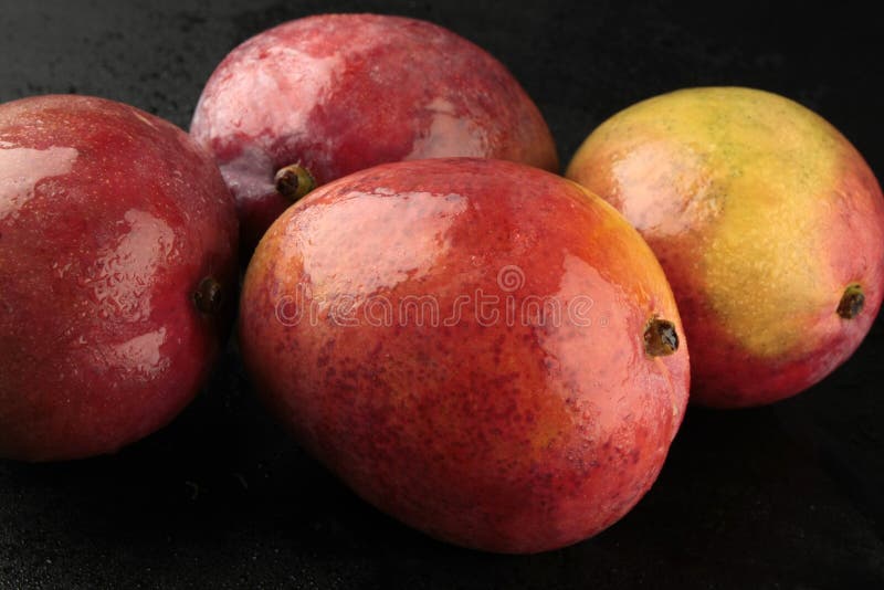 Mango on black background stock photo. Image of freshness - 5371326