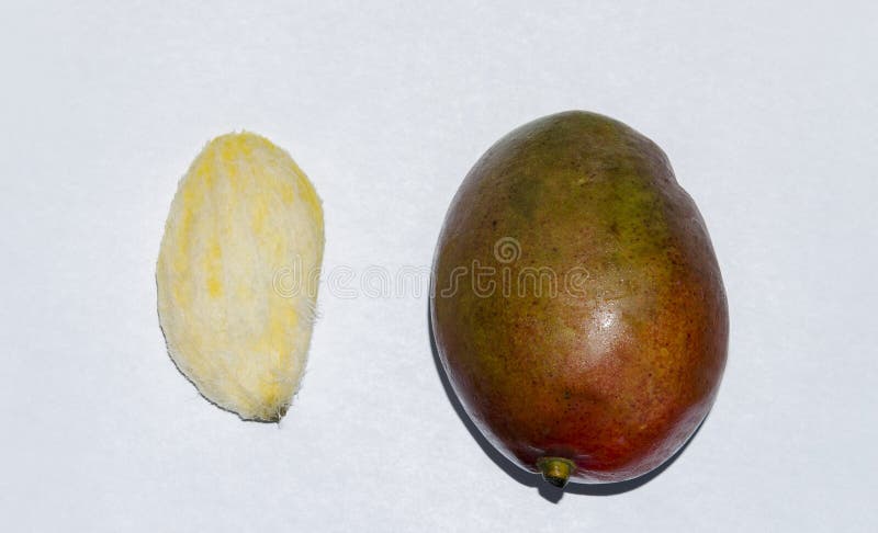 Mango Bone on the Table after Eating Stock Photo - Image of plate, food ...