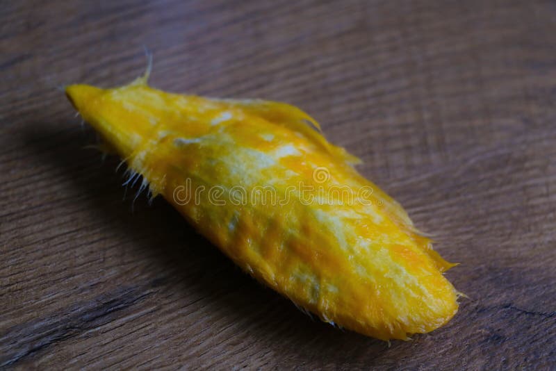Mango Bone on the Table after Eating Stock Photo - Image of plate, food ...
