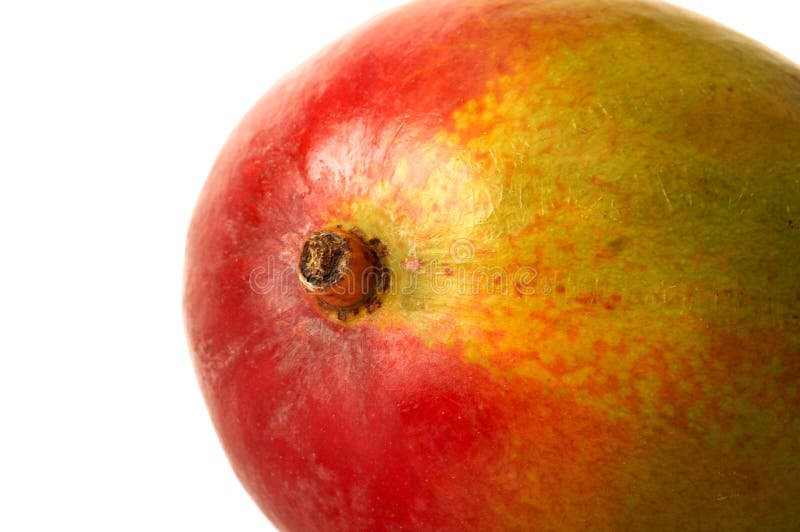 Mangoes stock image. Image of exotic, tropical, taste - 4418425