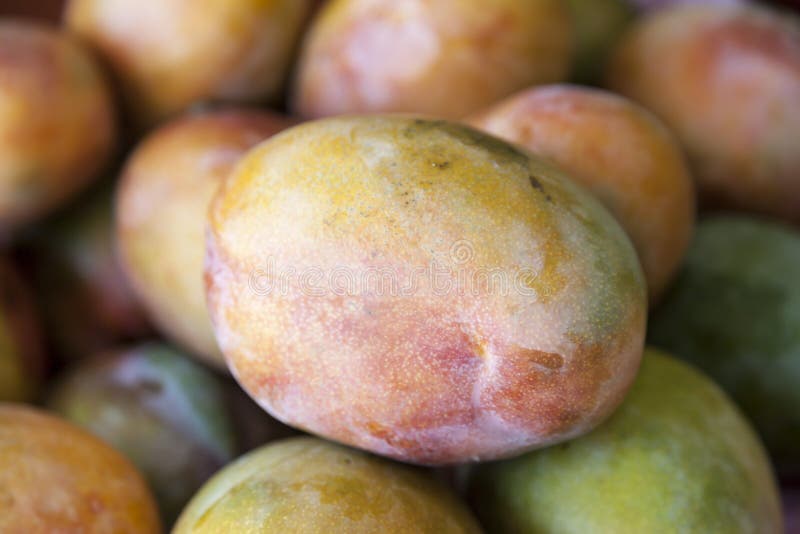 Mango stock image. Image of culture, natural, phuket - 33866369