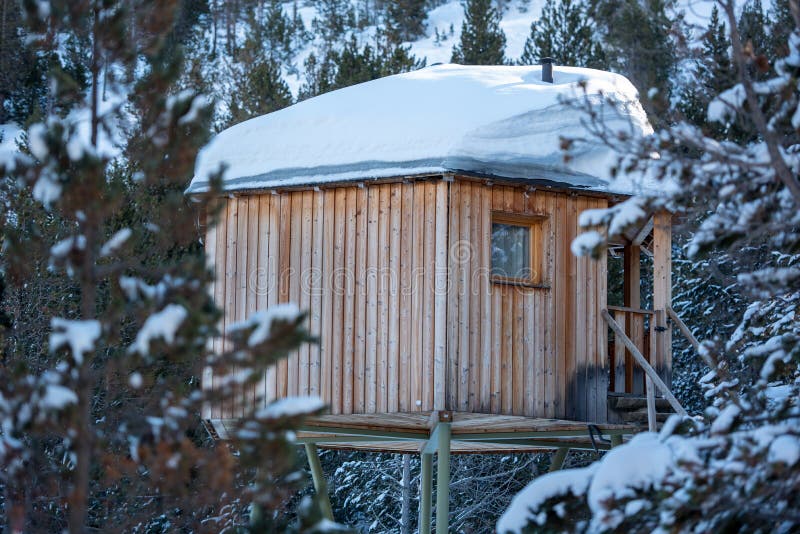 Mango Cocktail at Ski Slopes on a Sunny Day Stock Image - Image of mint ...