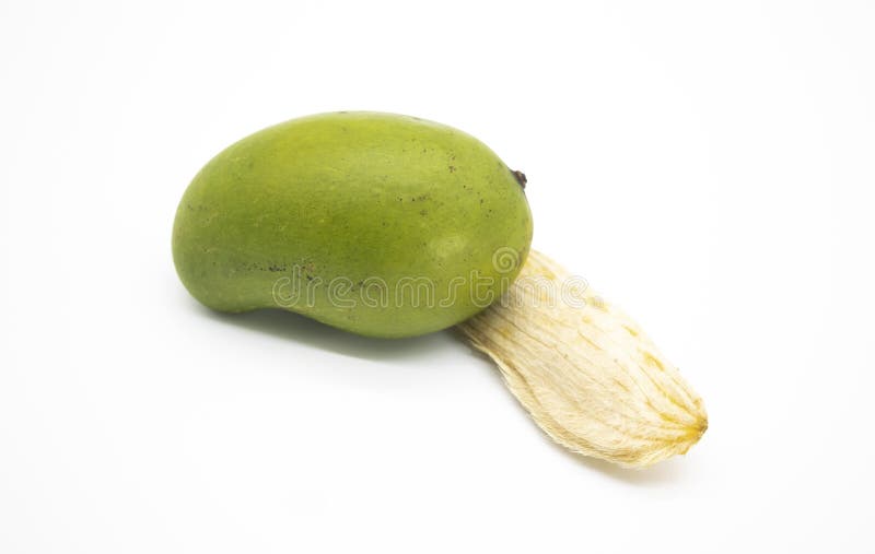 Mango Con Semillas De Mango Aisladas En Fondo Blanco Imagen de archivo ...