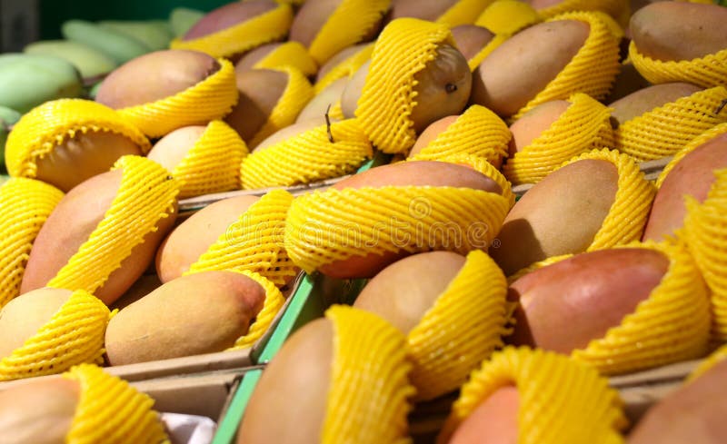 Mango on the Counter in the Market Stock Photo - Image of fresh ...