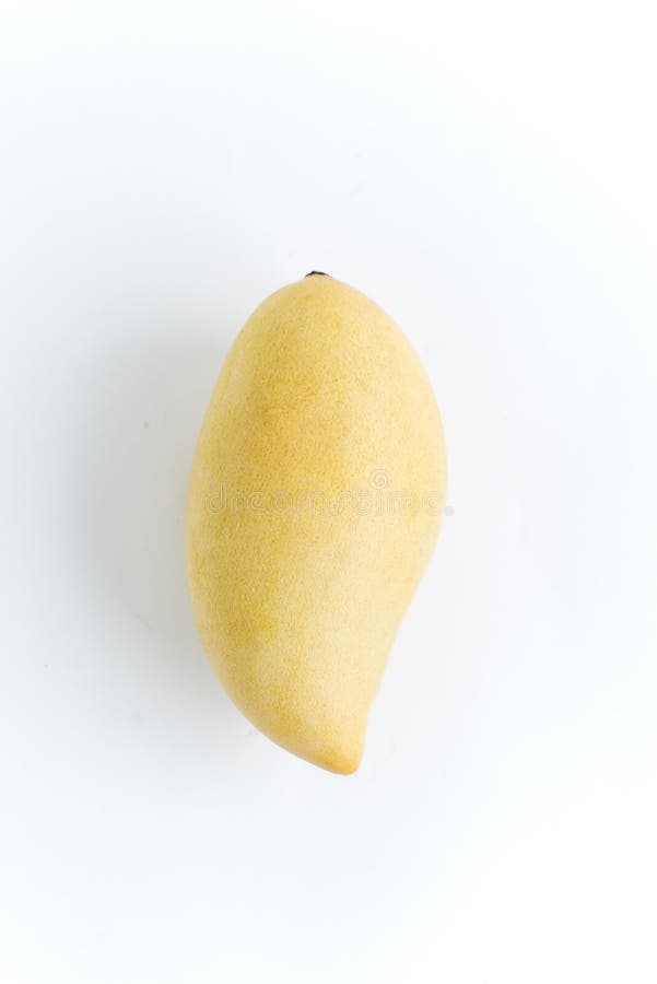 Mango De La Barracuda O Mango De La Flor Del Oro Imagen de archivo ...