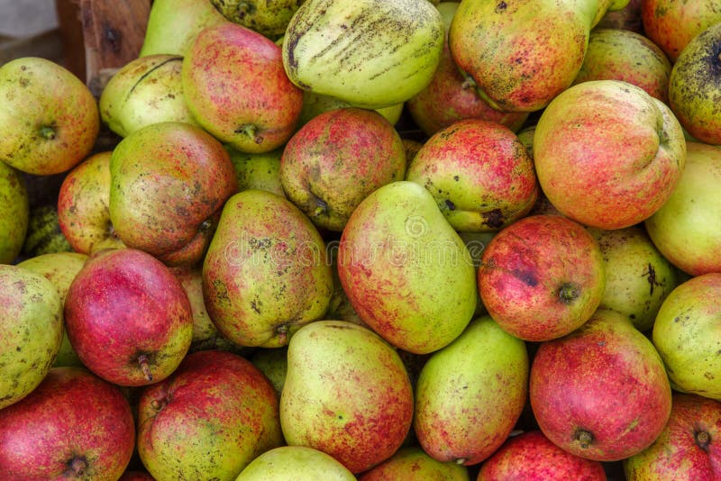 Mango De La Manzana De La Fruta Tropical Imagen de archivo - Imagen de ...