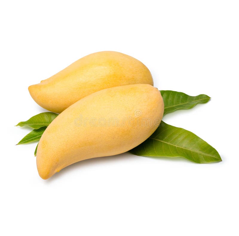 Mango De Oro Dulce Aislado En El Fondo Blanco Foto de archivo - Imagen ...
