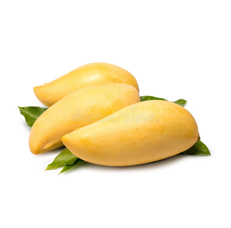 Mango De Oro Dulce Aislado En El Fondo Blanco Imagen de archivo ...
