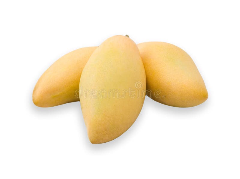 Mango de oro tailandés foto de archivo. Imagen de tropical - 19040220