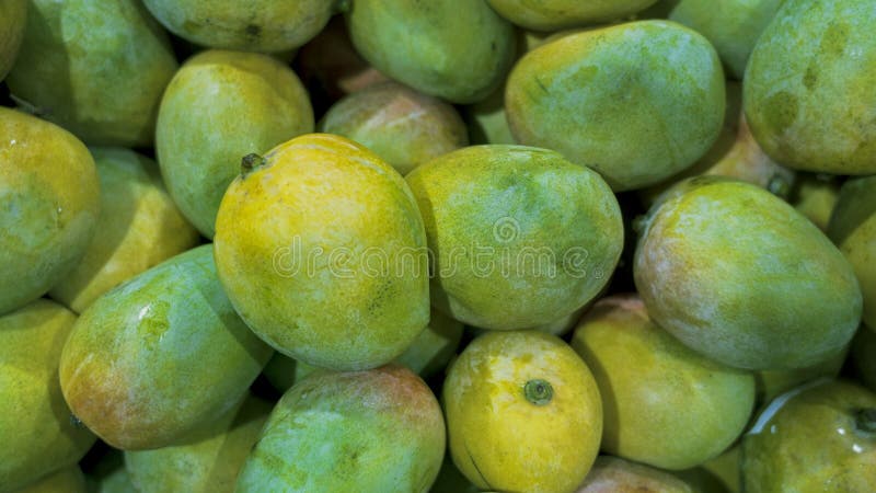Mango de sindhooram indio foto de archivo. Imagen de india - 320600090