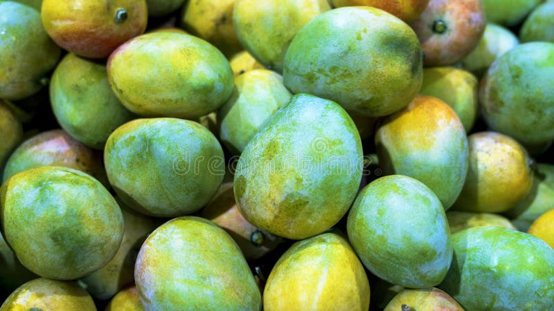 Mango de sindhooram indio imagen de archivo. Imagen de plato - 320600095