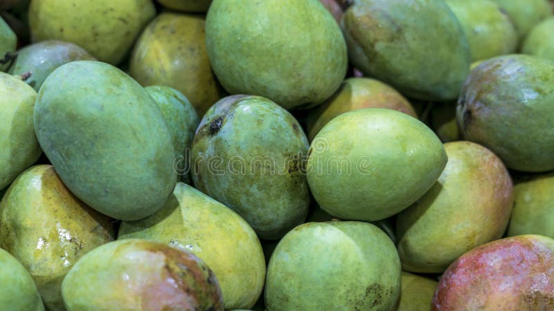 Mango de sindhooram indio imagen de archivo. Imagen de travieso - 320600649