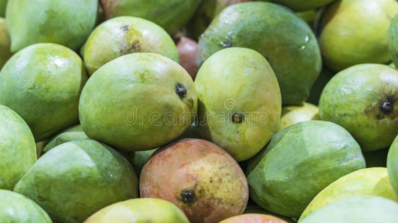 Mango de sindhooram indio foto de archivo. Imagen de perenne - 320600652