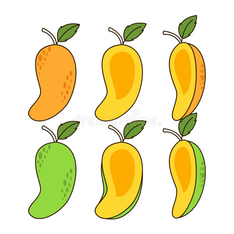 Mango Doodle Hand Drawn Design Stock Vector - Illustration of healthy ...