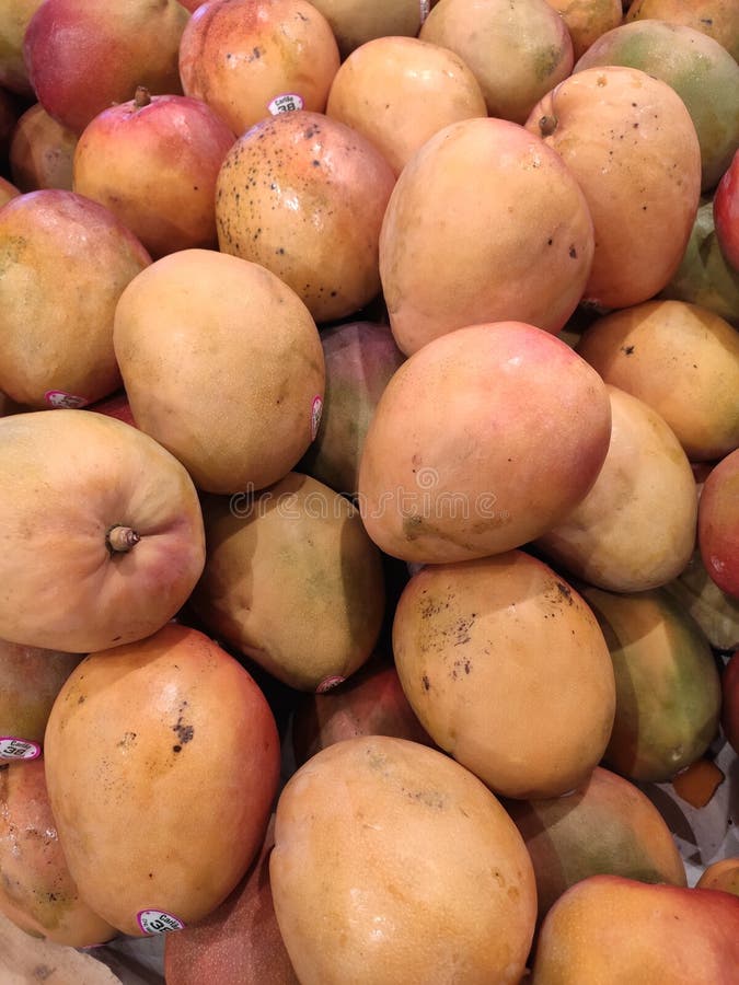 Mango stock image. Image of mango, beautiful, food, delicious - 173289343