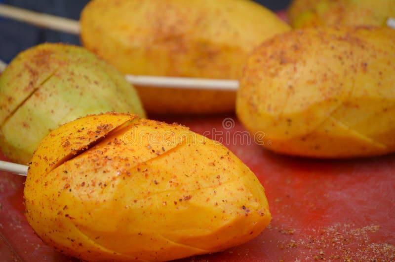 Mangos y árboles de mango foto de archivo. Imagen de frutas - 2353566