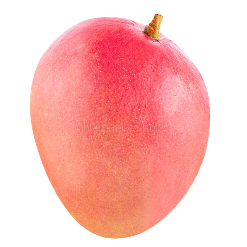 Mango Entero Aislado En Blanco Imagen de archivo - Imagen de aislado ...